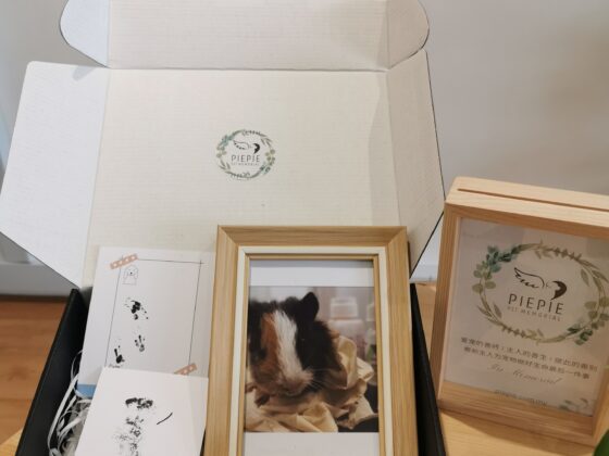 piepie.com.my – Pet Memorial Service in Klang Valley