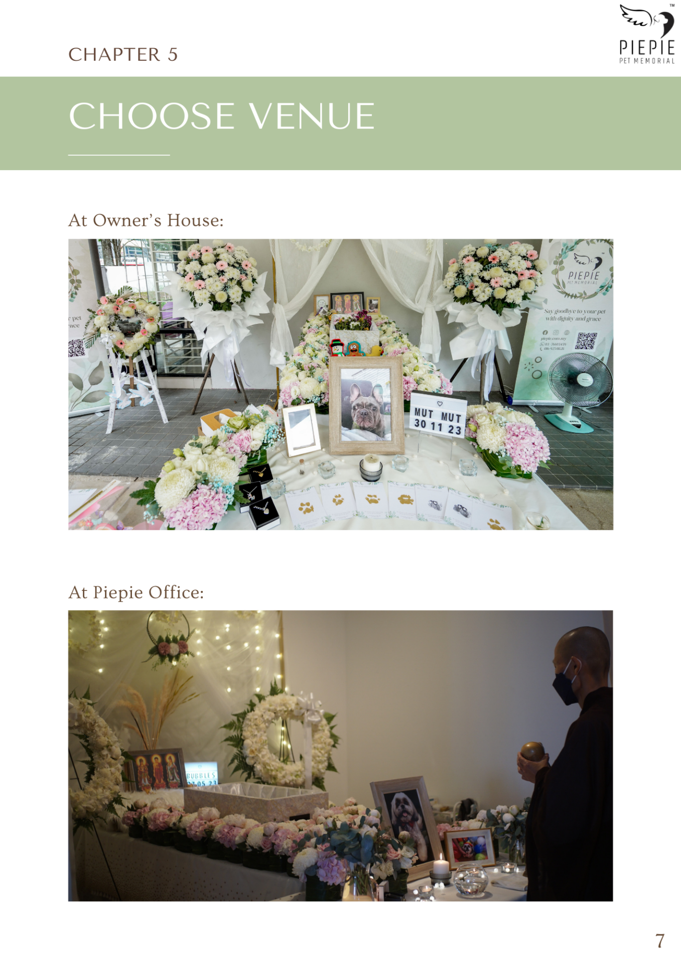 Blossom Dreams – piepie.com.my